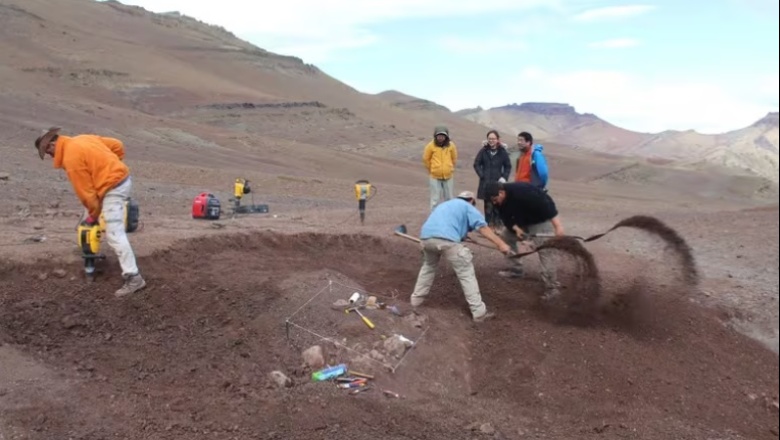 Hallazgo histórico: descubrieron en la Patagonia el mamífero más grande ...