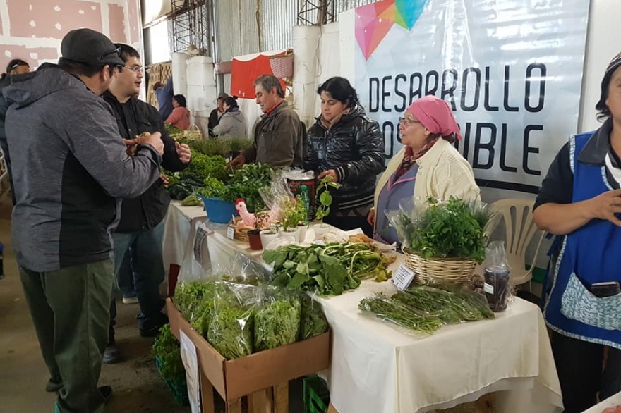 Con stands de distintas áreas, el Municipio acompañó la 39º Exposición ...